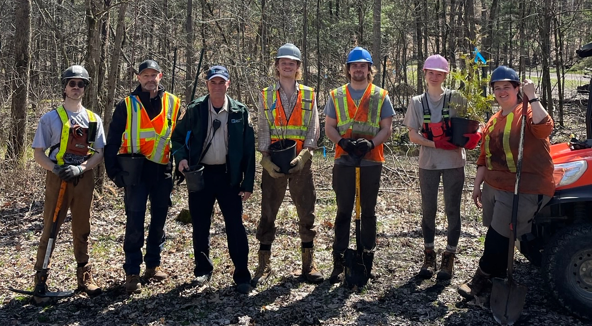 Forests Canada and Ontario Parks Complete Projects to Restore and ...