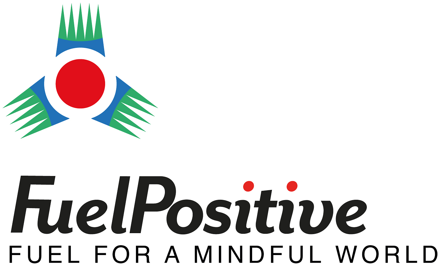 FuelPositive Announces Non-Brokered Private Placement - Cantech Letter