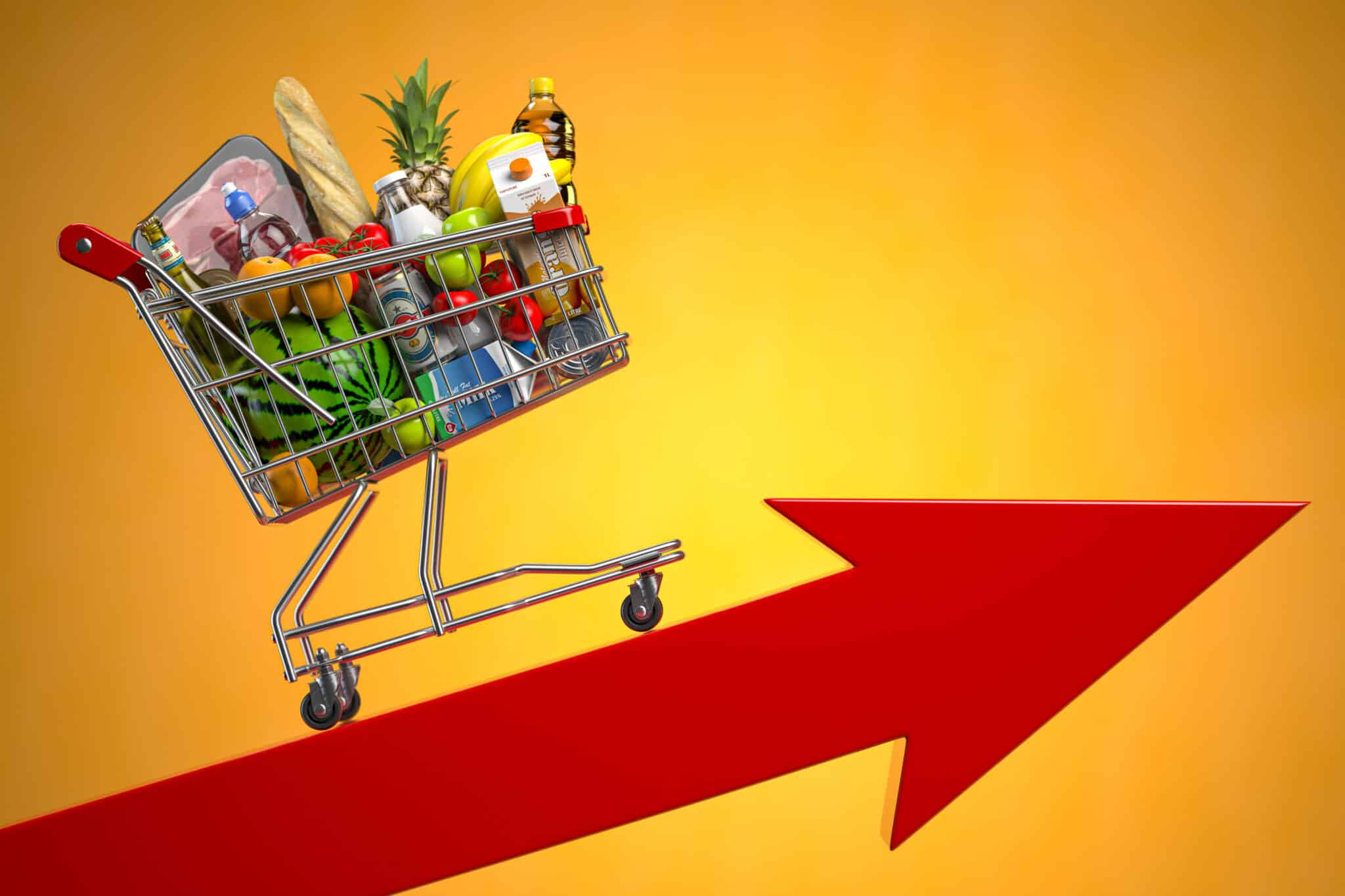 The Worst Investments During Inflation Listed Cantech Letter
