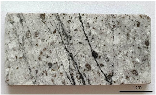 ORVANA PROVIDES TAGUAS DRILLING UPDATE: FULL ASSAY RESULTS FROM TADD ...