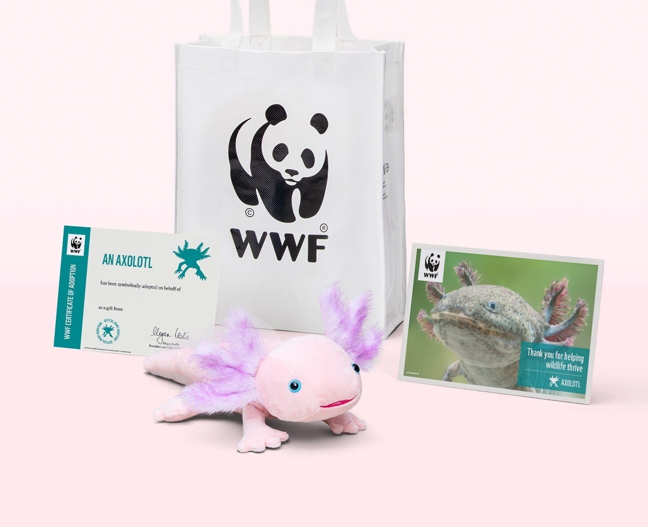 The axolotl and capybara join WWF-Canada’s symbolic wildlife adoptions collection in time for ...